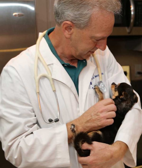 About Us - At Home Veterinary Care